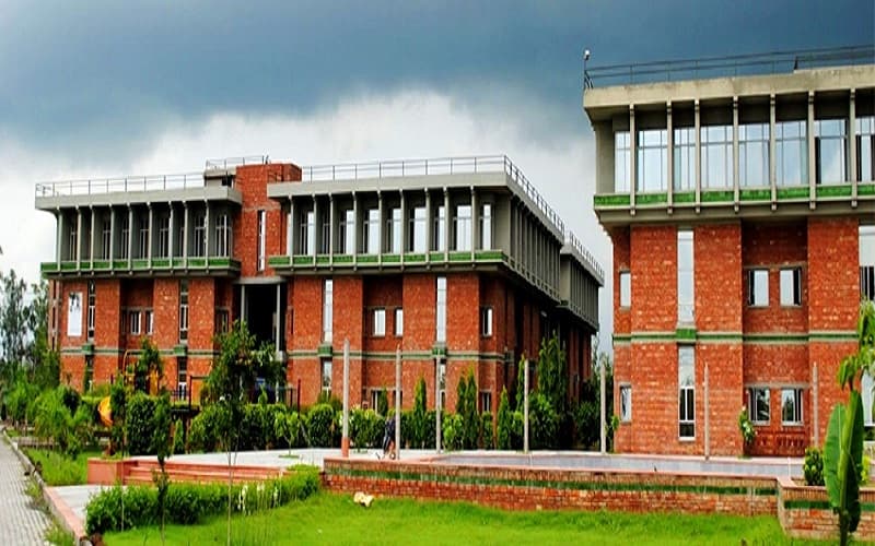 Vidya Institute of Fashion Technology Meerut: Fees, Admission 2026 ...