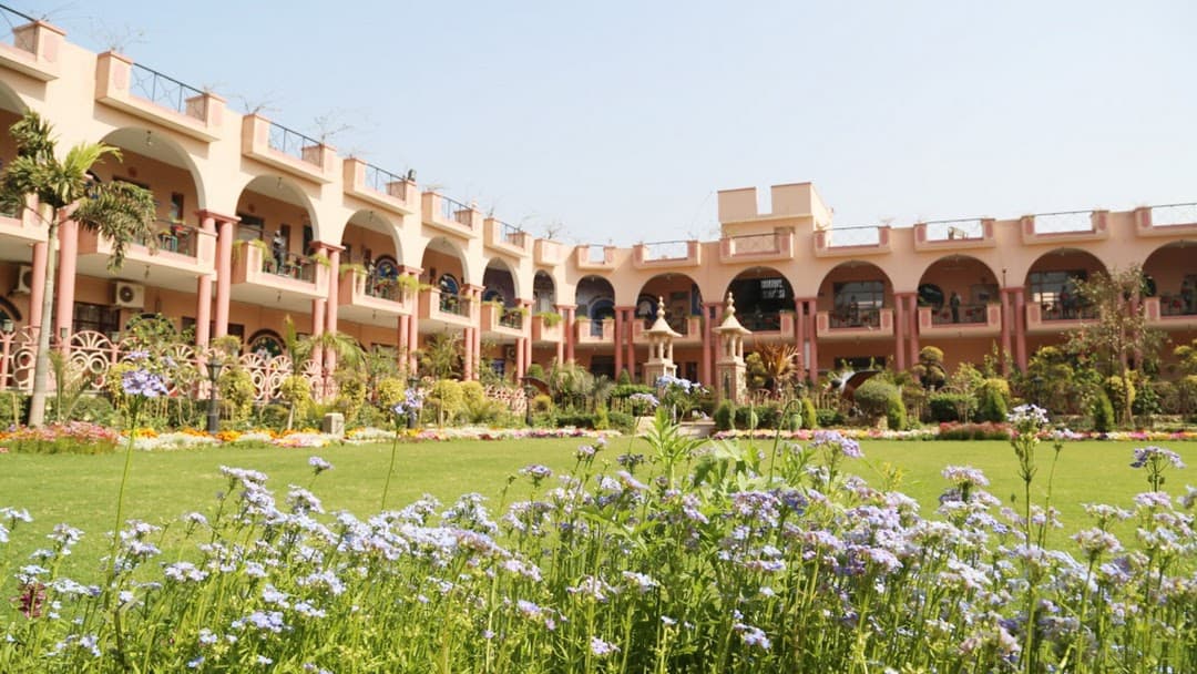 Panjab University Result 2024 (Out) puchd.ac.in : Check UG, PG Result