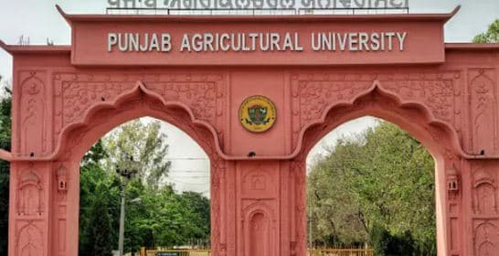 PAU Admission 2022 Open for Certificate & Diploma Course in French ...