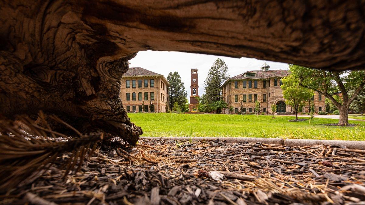 Southern Utah University: Rankings, Courses, Admissions, Tuition Fee ...