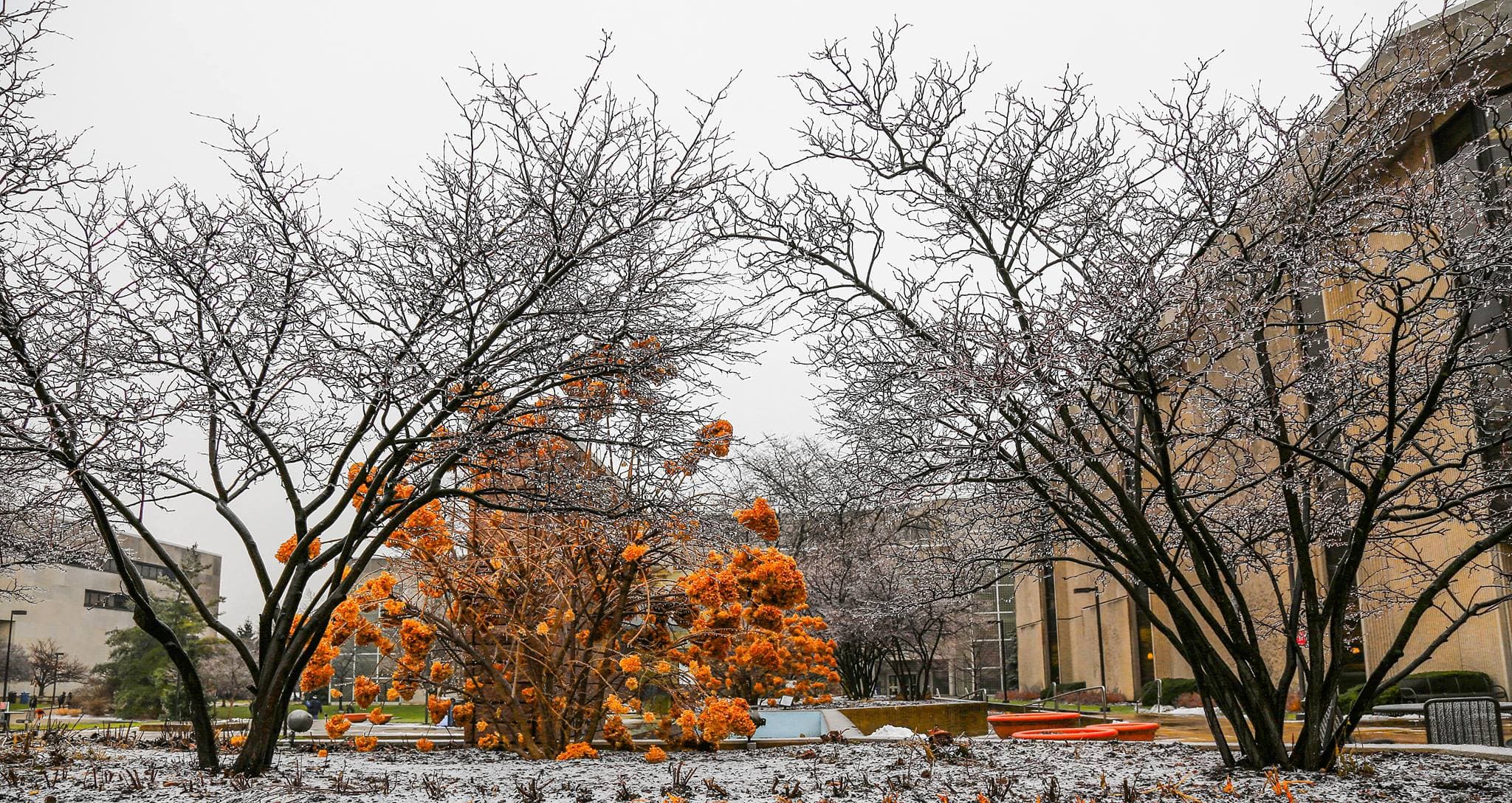 Indiana University Northwest Admissions 2025: Application Deadline ...