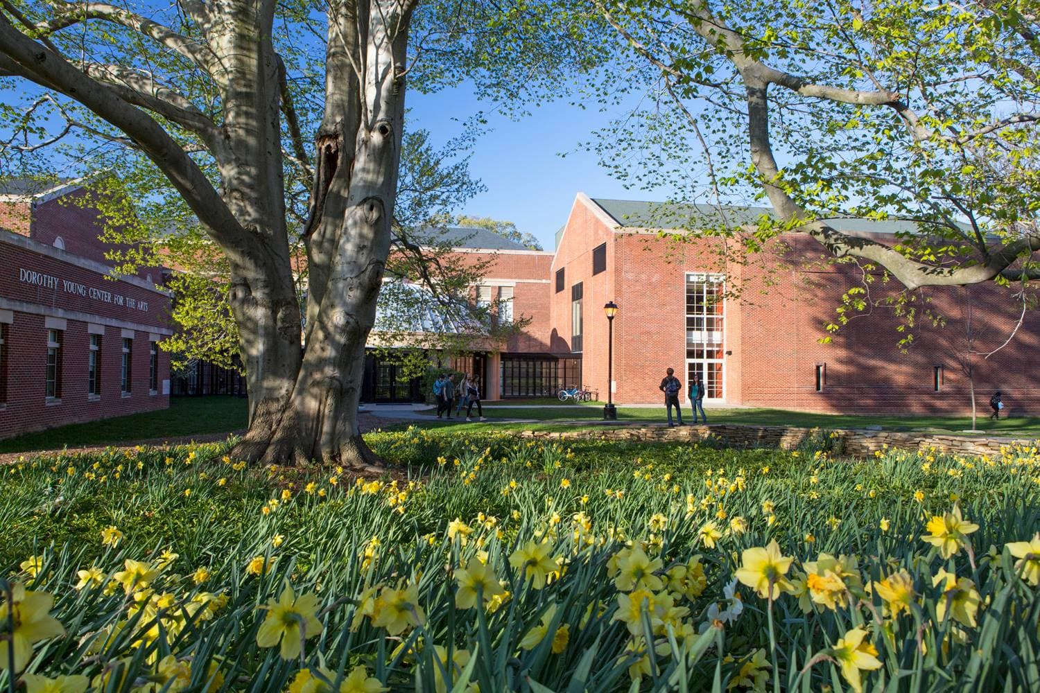 Drew University Admissions 2025: Application Deadline, Eligibility & Fees