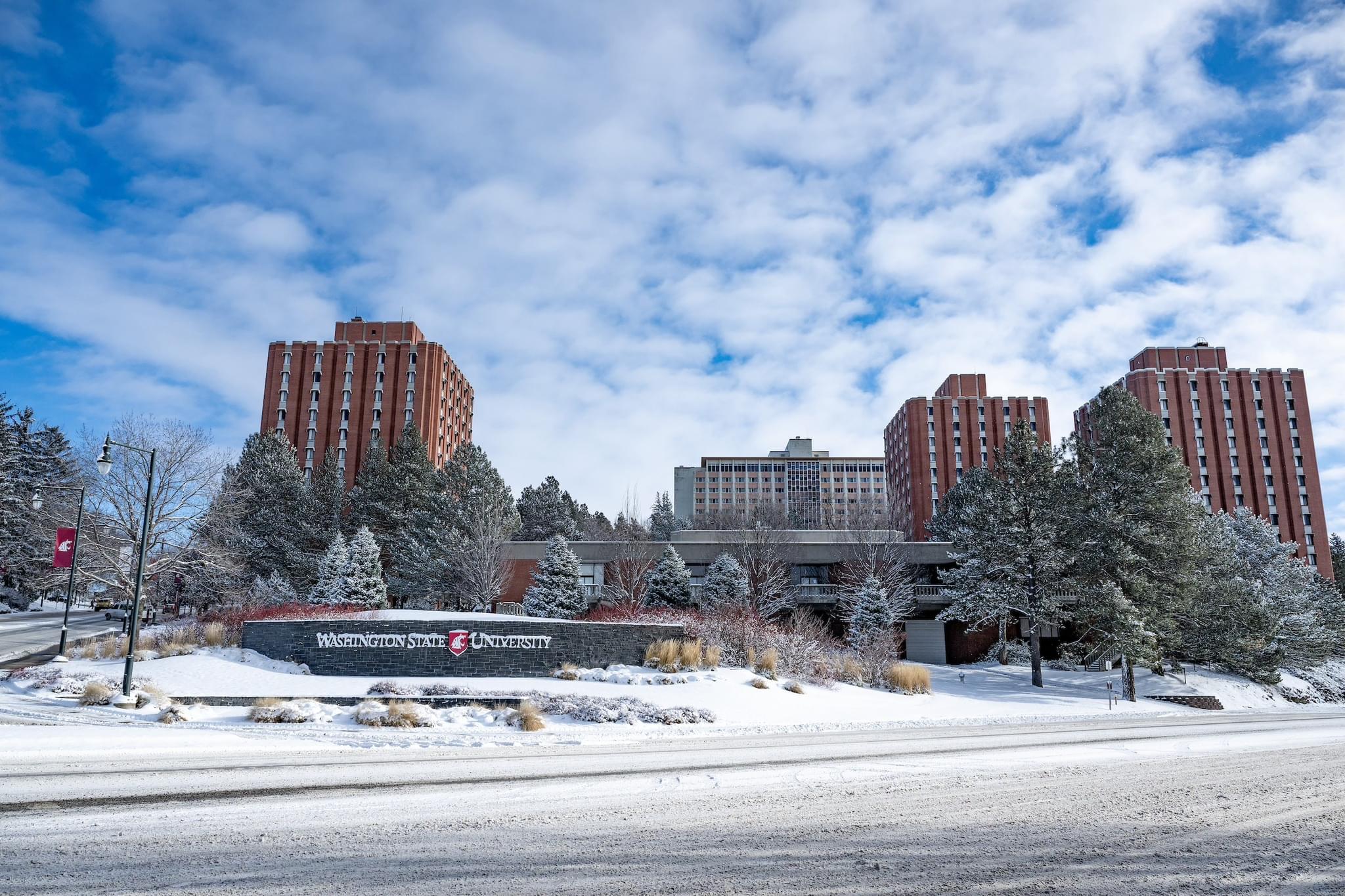 Washington State University, Pullman Ranking 2025 from QS, THE & US NEWS