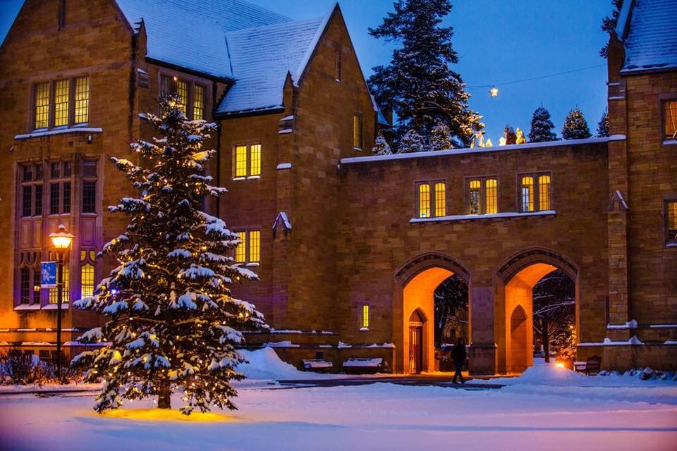 University of Saint Thomas Saint Paul: Fees 2026, Scholarships ...