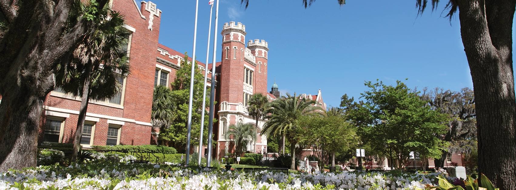 Florida State University Courses and Fees 2025