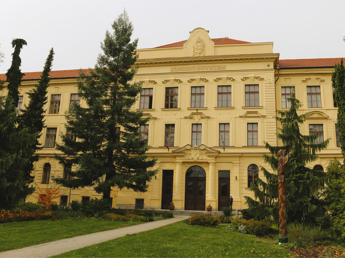 MS Timber Industry Engineering at University Of Sopron [SOPRON ...