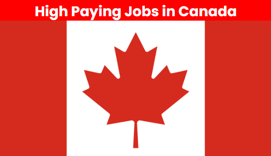 Top Paying Professions in Canada: Roles & Salaries