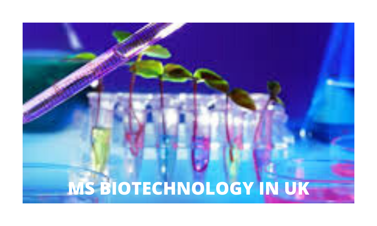 MSc in Biotechnology in UK: Top Universities, Fees, and Scope