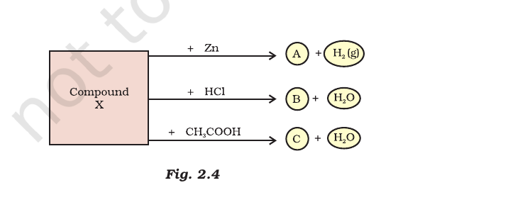 NCERT Exemplar Solutions Class 10 Science Chapter 2