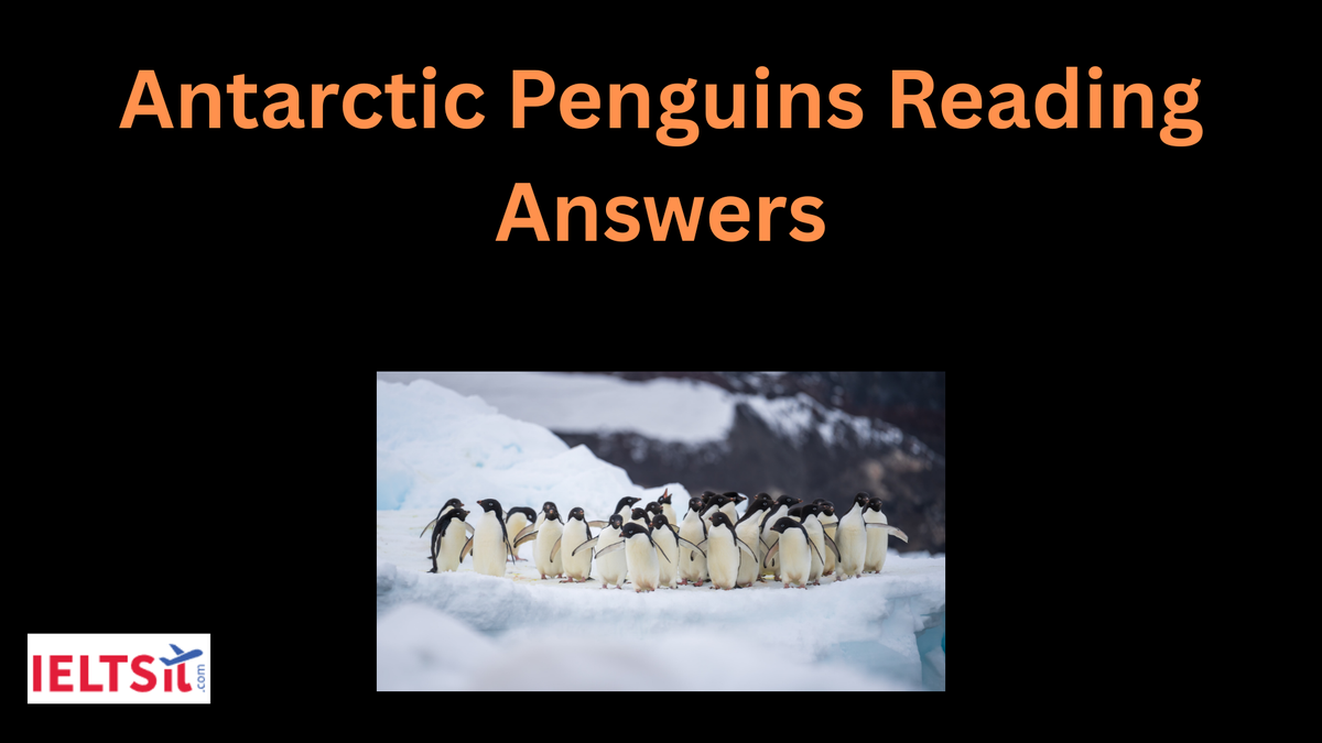 Antarctic Penguins Reading Answers