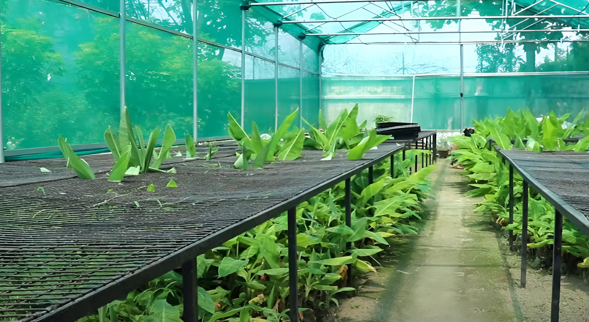 Birsa Agricultural University Ranchi: Fees, Admission 2025, Courses ...