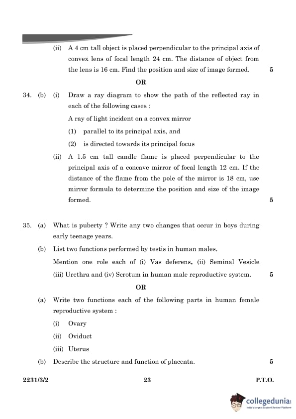 CBSE Class 10 Science Question Paper 2024 (Set 2 - 31/3/2) with Answer Key
