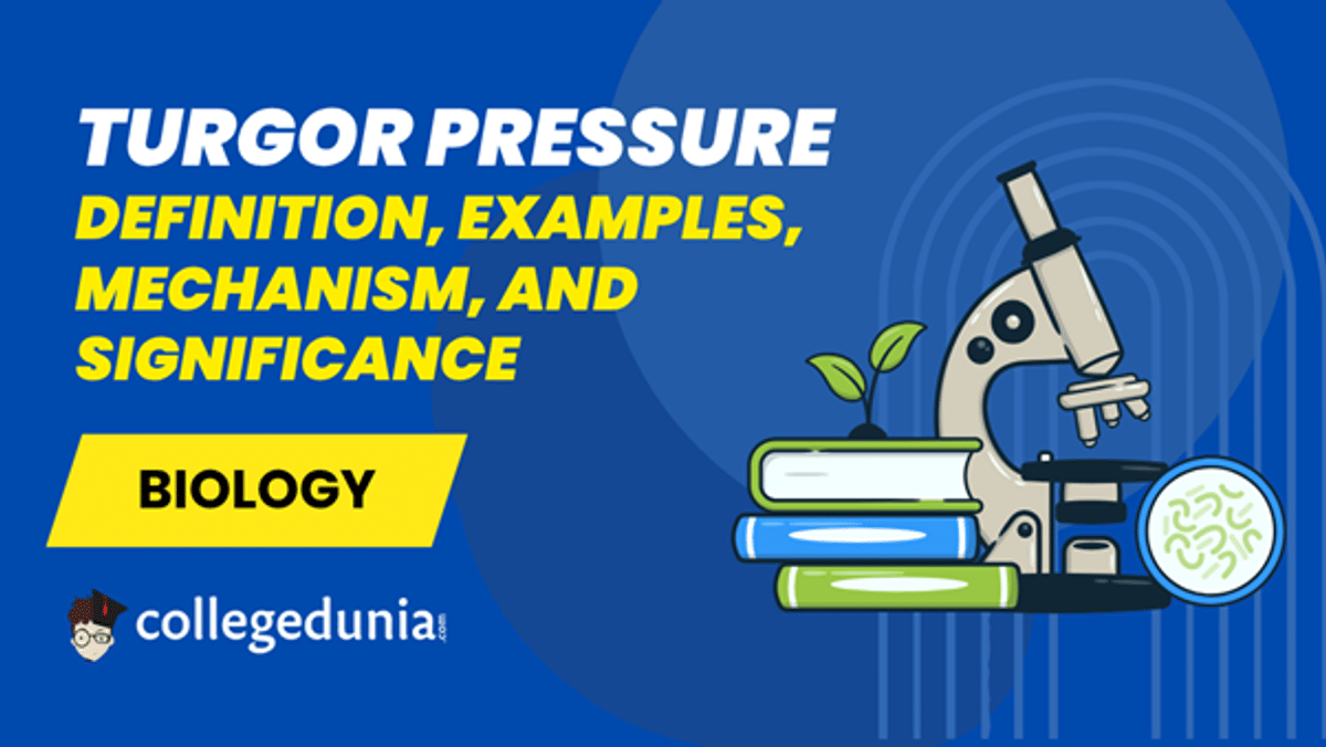 Turgor Pressure: Definition, Examples, Mechanism, and Significance