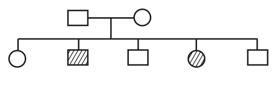 NCERT Exemplar Class 12 Biology Ch 4 Inheritance & Variation PDF