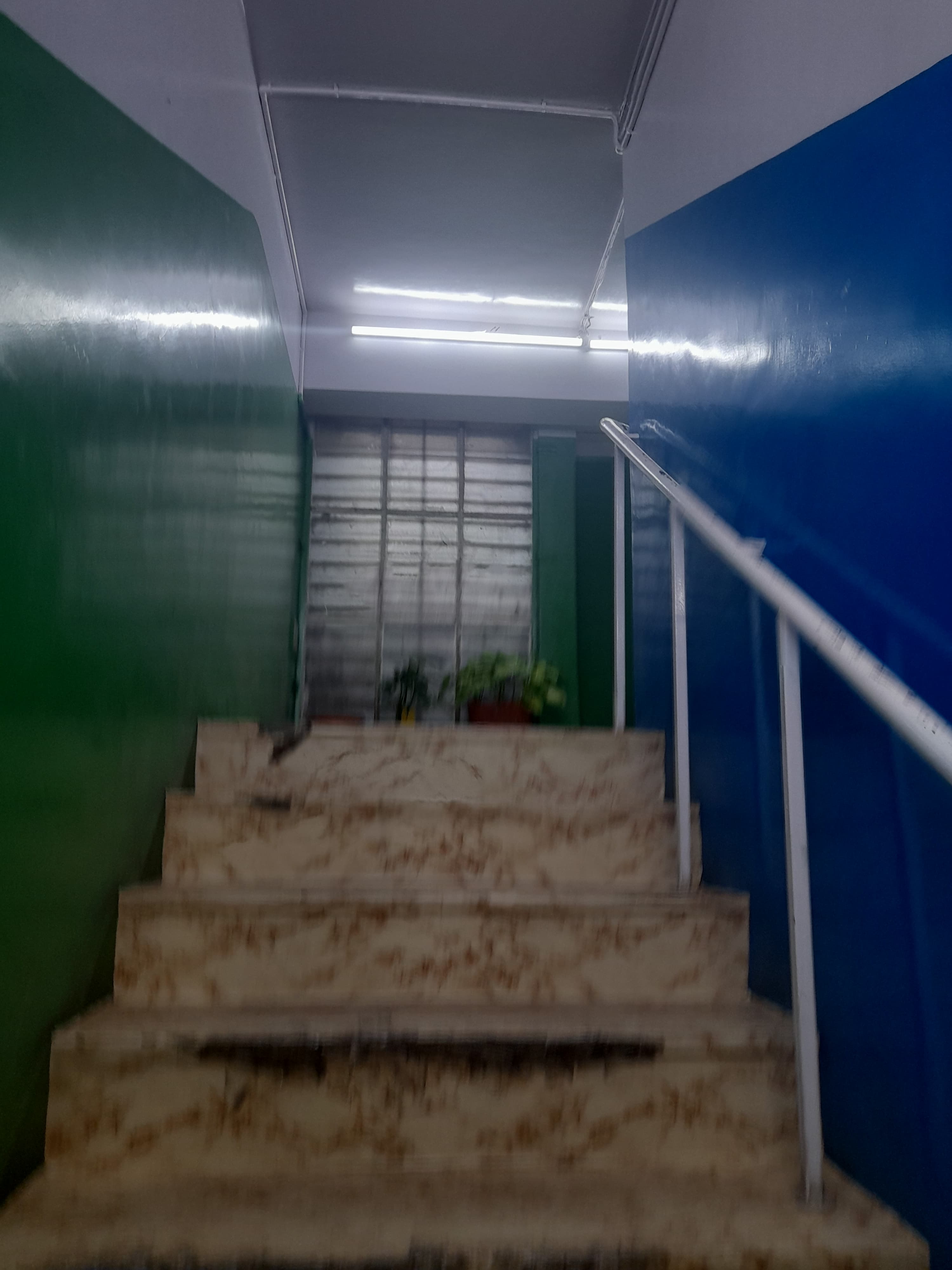 Cyber Success Pune: Reviews, Fees, Address, Contact