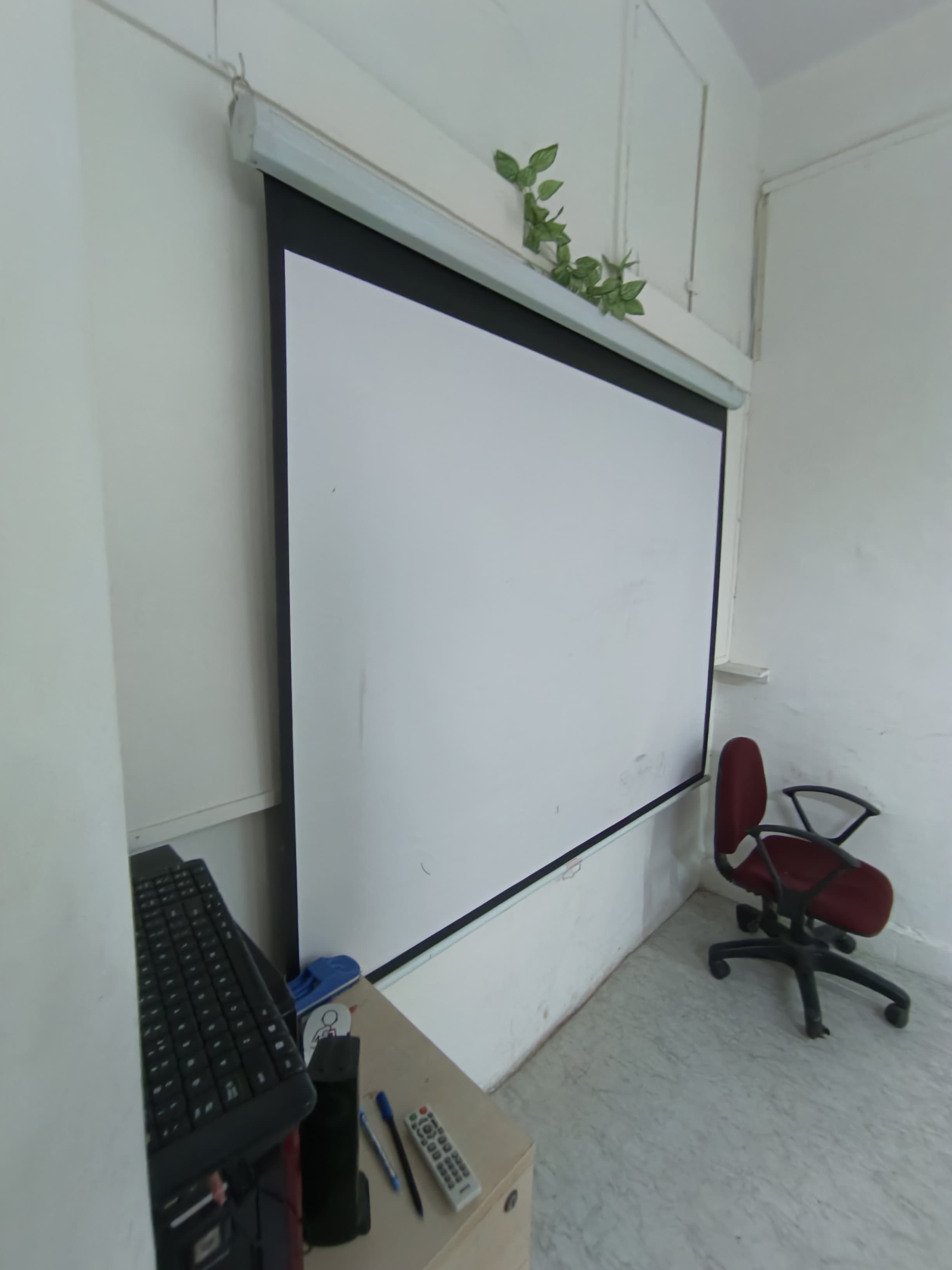 BLS ACLS PALS AHA Charles Institute: Fees, Review, Contact, Address