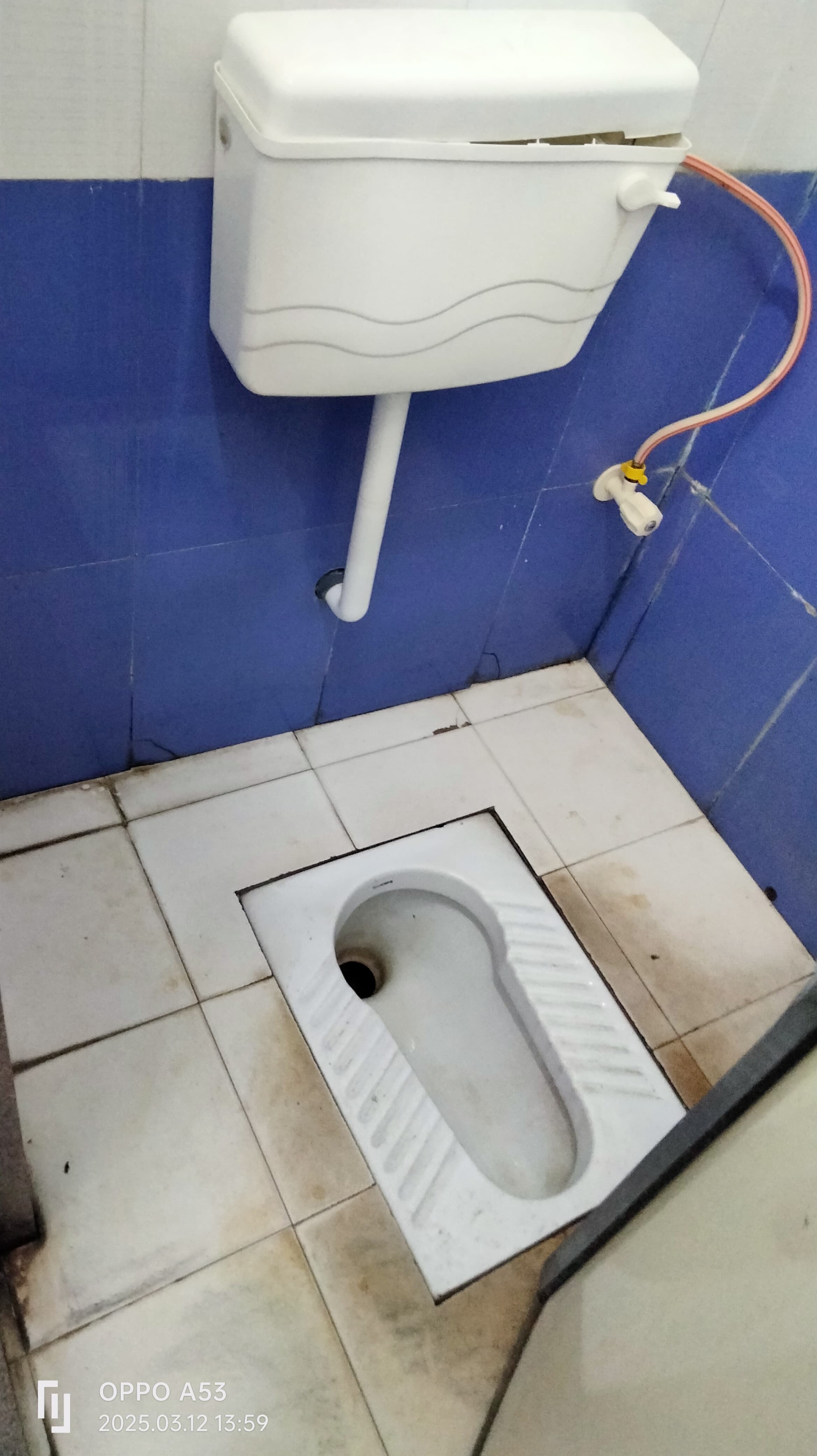 It Vedant Vashi: Reviews, Fees 2025, Address, Contact