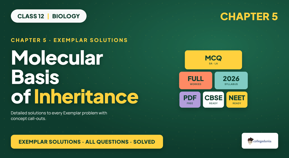NCERT Exemplar Class 12 Biology Ch 5 Molecular Basis Inheritance PDF