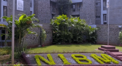NIBM Pune: Fees, Admission 2025, Courses, Cutoff, Ranking, Placement