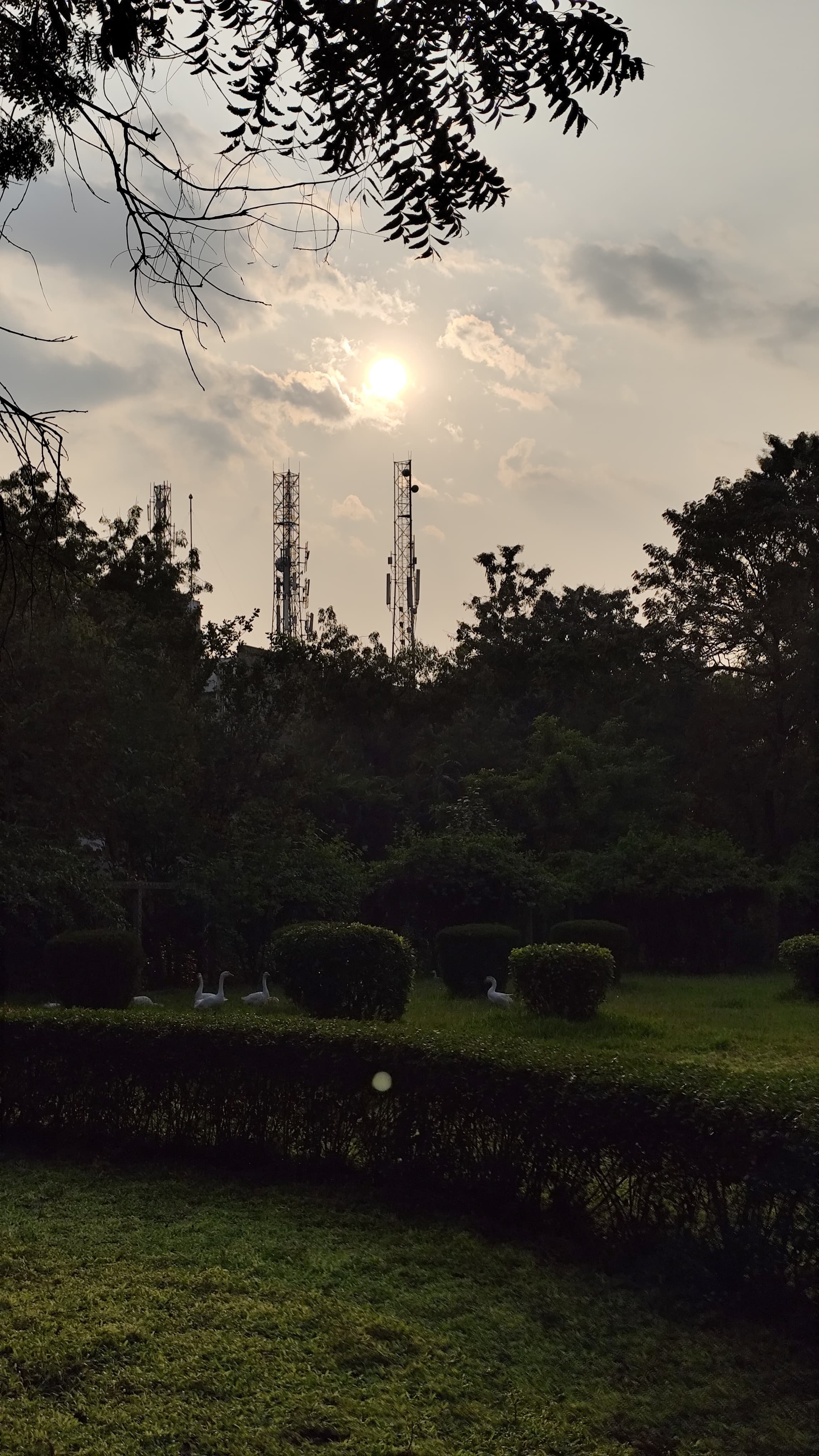 BIT Sathy: Admission 2025, Courses, Fees, Cutoff, Eligibility & Placements