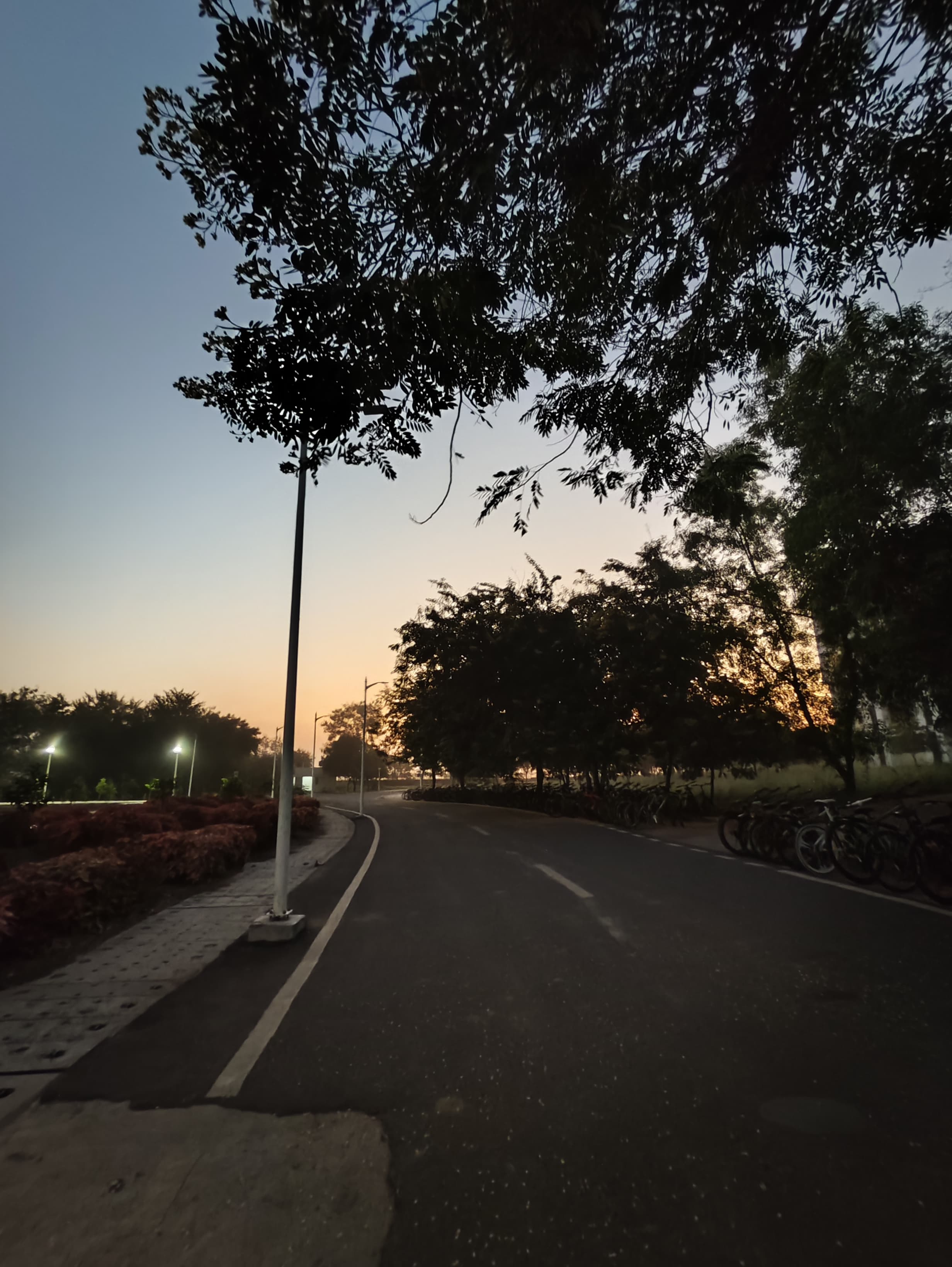 IISER Bhopal Courses & Fees 2025