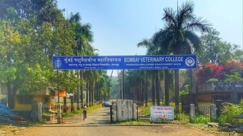 MAFSU Admission 2025: Dates, Fees, Eligibility, Application Process ...