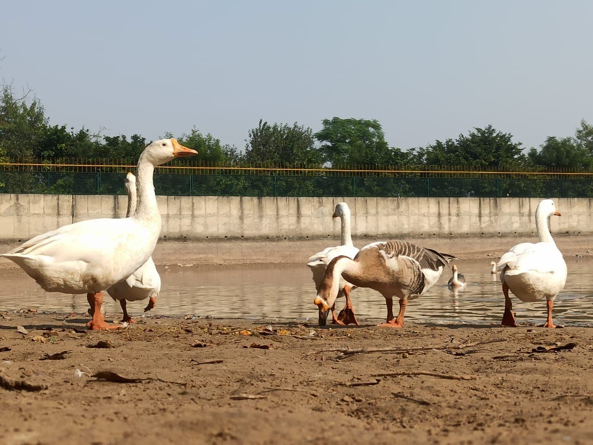 SLIET Admission 2025: Dates, Fees, Eligibility, Application Process ...