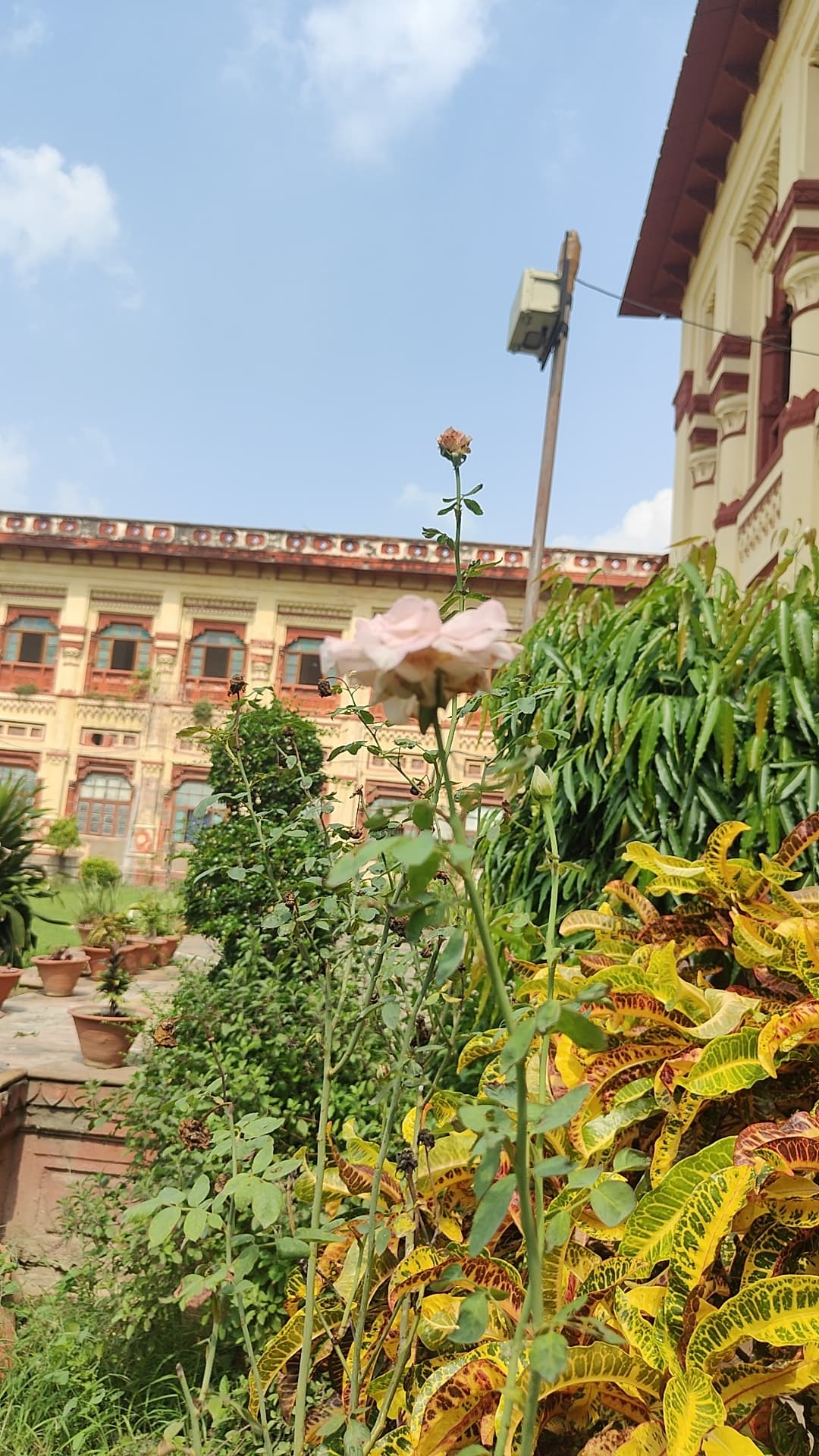 BHU B.Sc {Hons.}: Fees 2025, Course Duration, Dates, Eligibility
