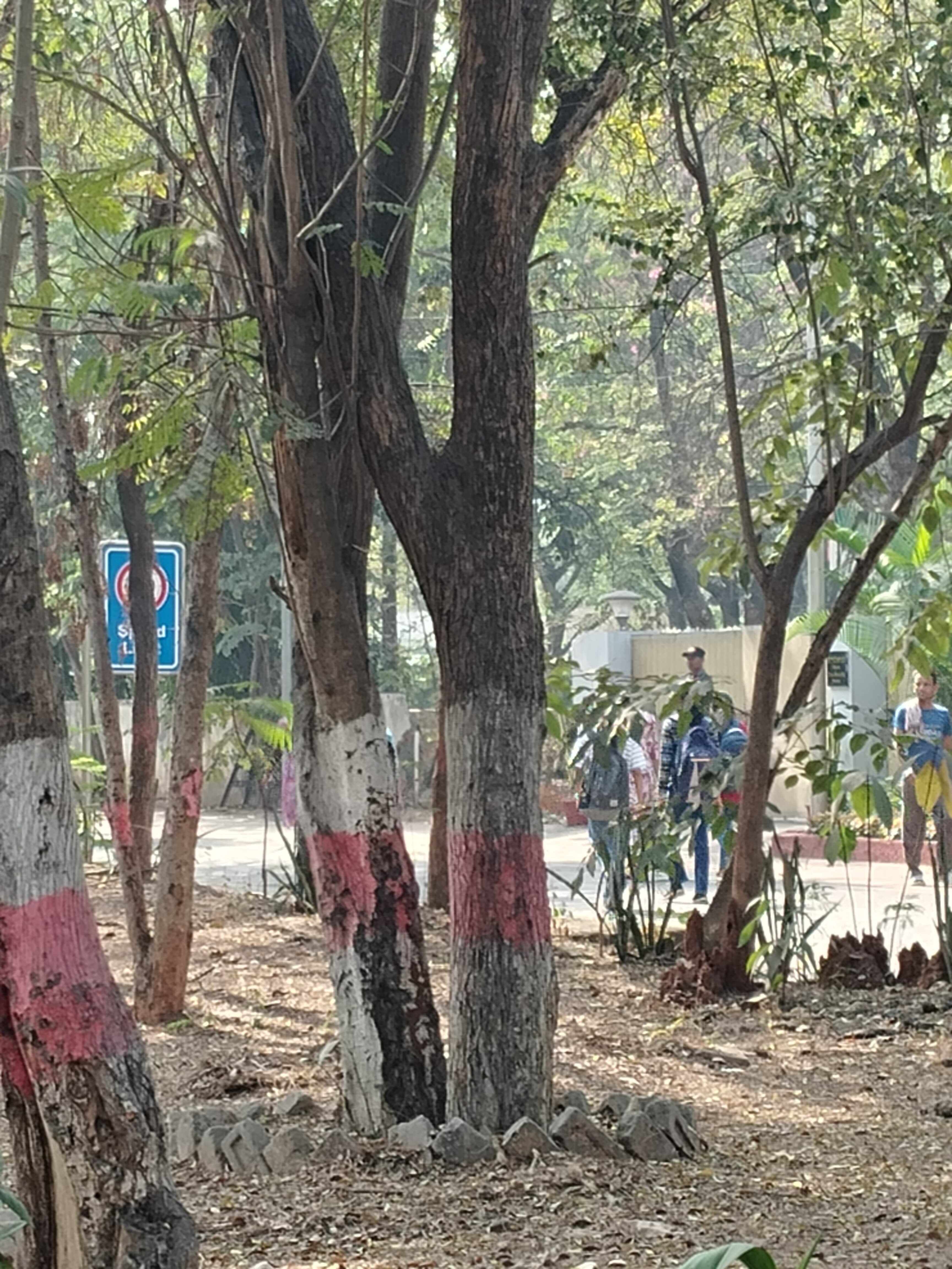 NIT Raipur: Admission 2025, Courses, Fees, Placement, Scholarships, Cutoff