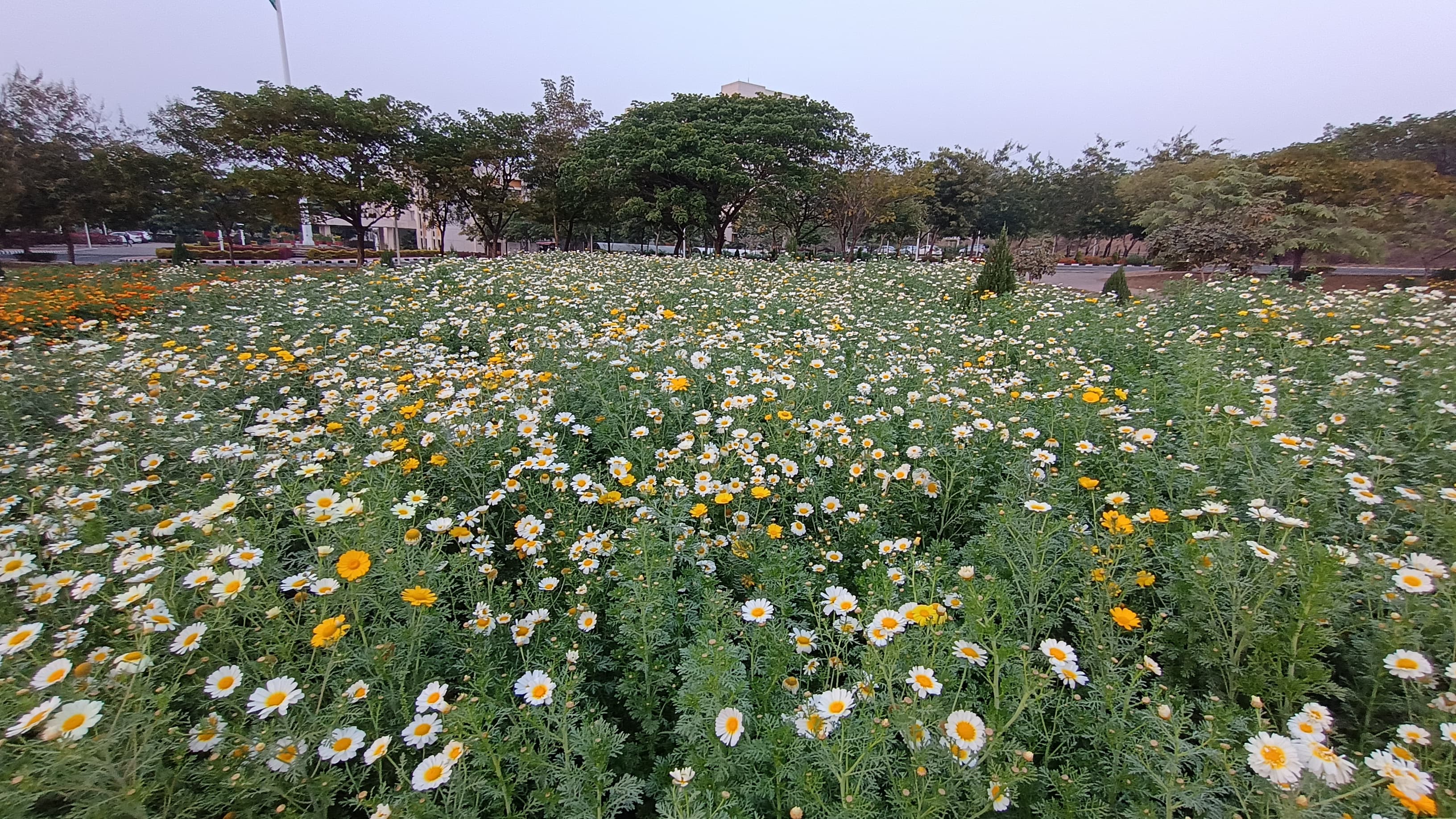 IISER Bhopal Courses & Fees 2025