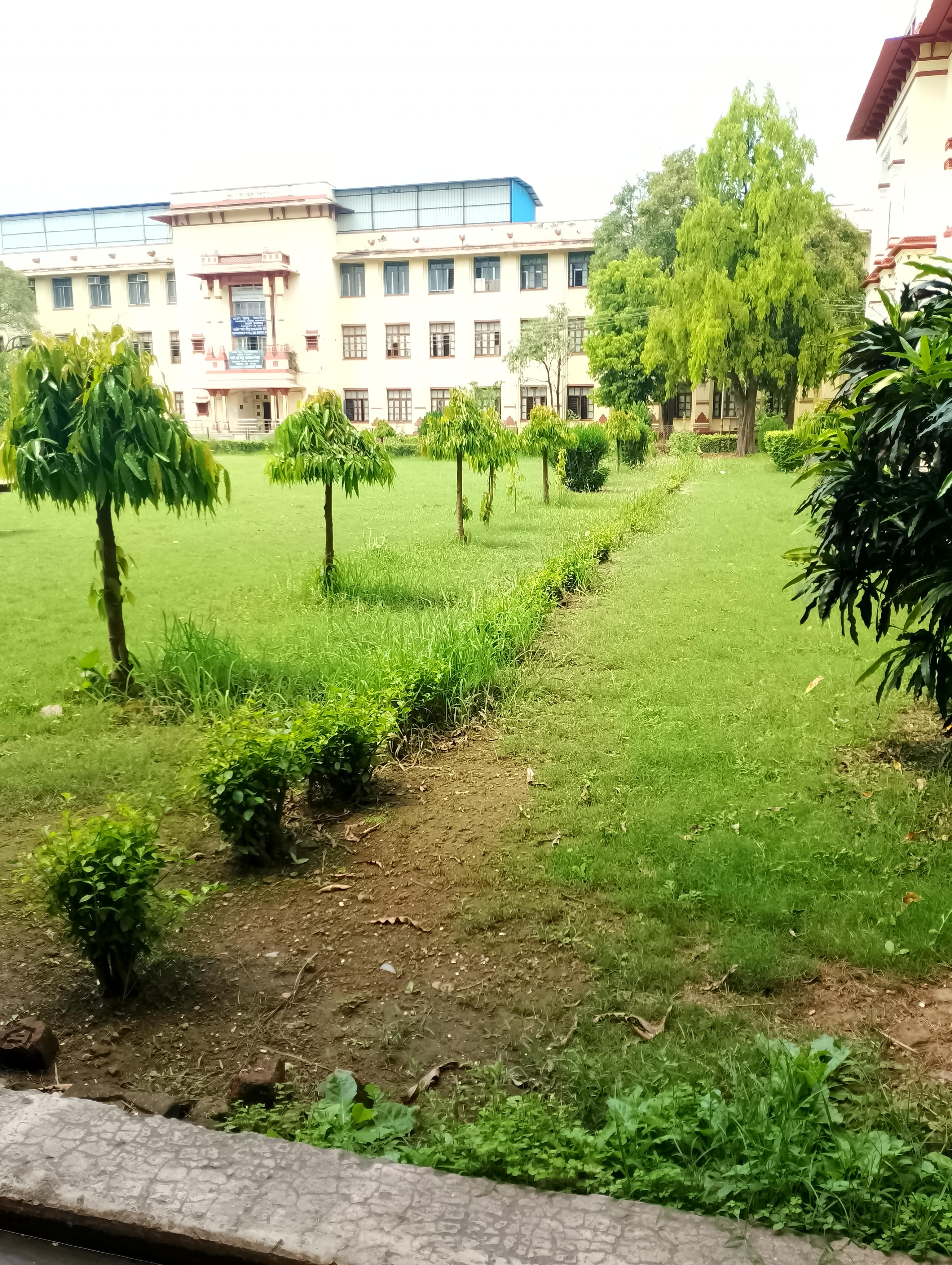 BHU B.Voc Computer Application: Fees 2025, Course Duration, Dates ...