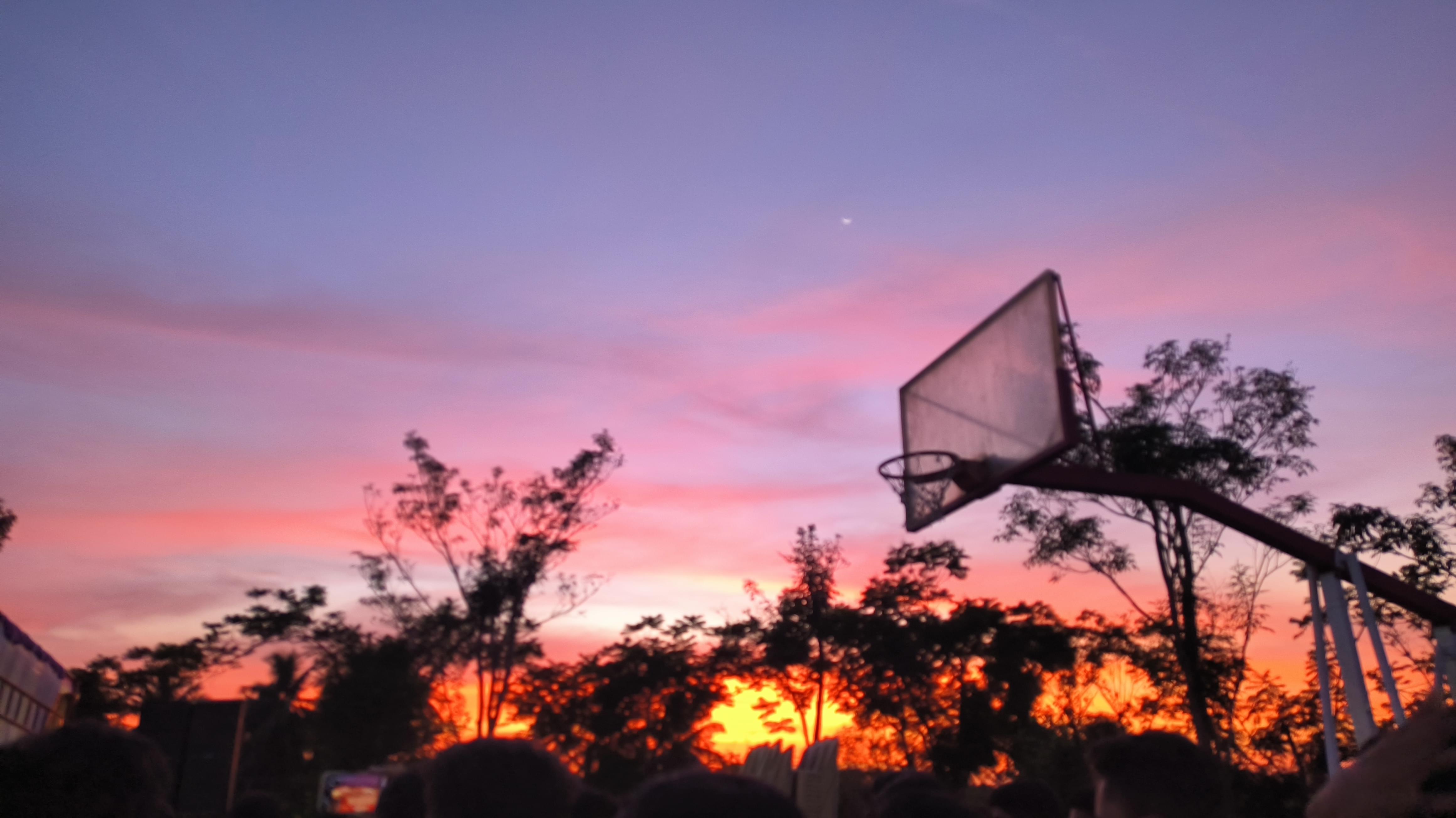 SDMIT: Fees, Admission 2025, Courses, Cutoff, Ranking, Placement