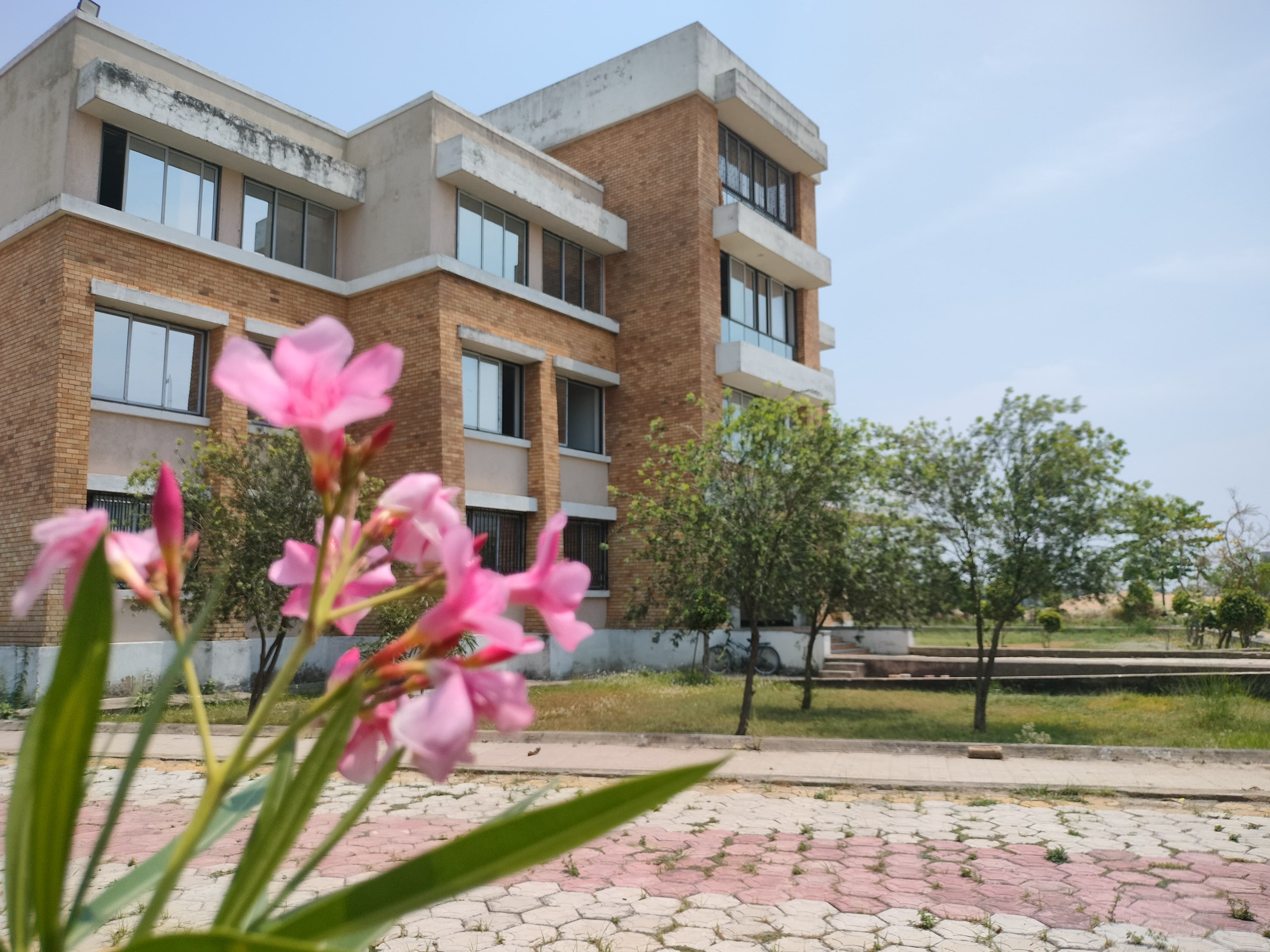 Sandip University Madhubani Gallery