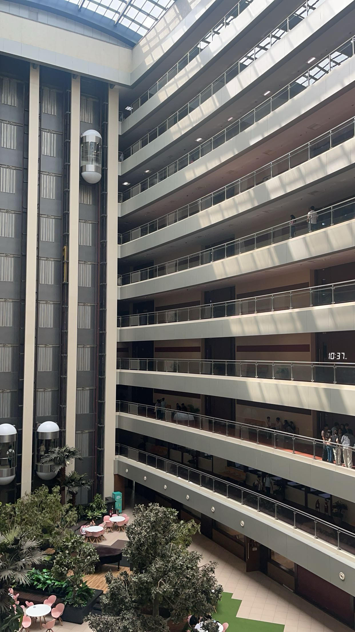 NMIMS Mumbai BBA: Fees 2025, Course Duration, Dates, Eligibility