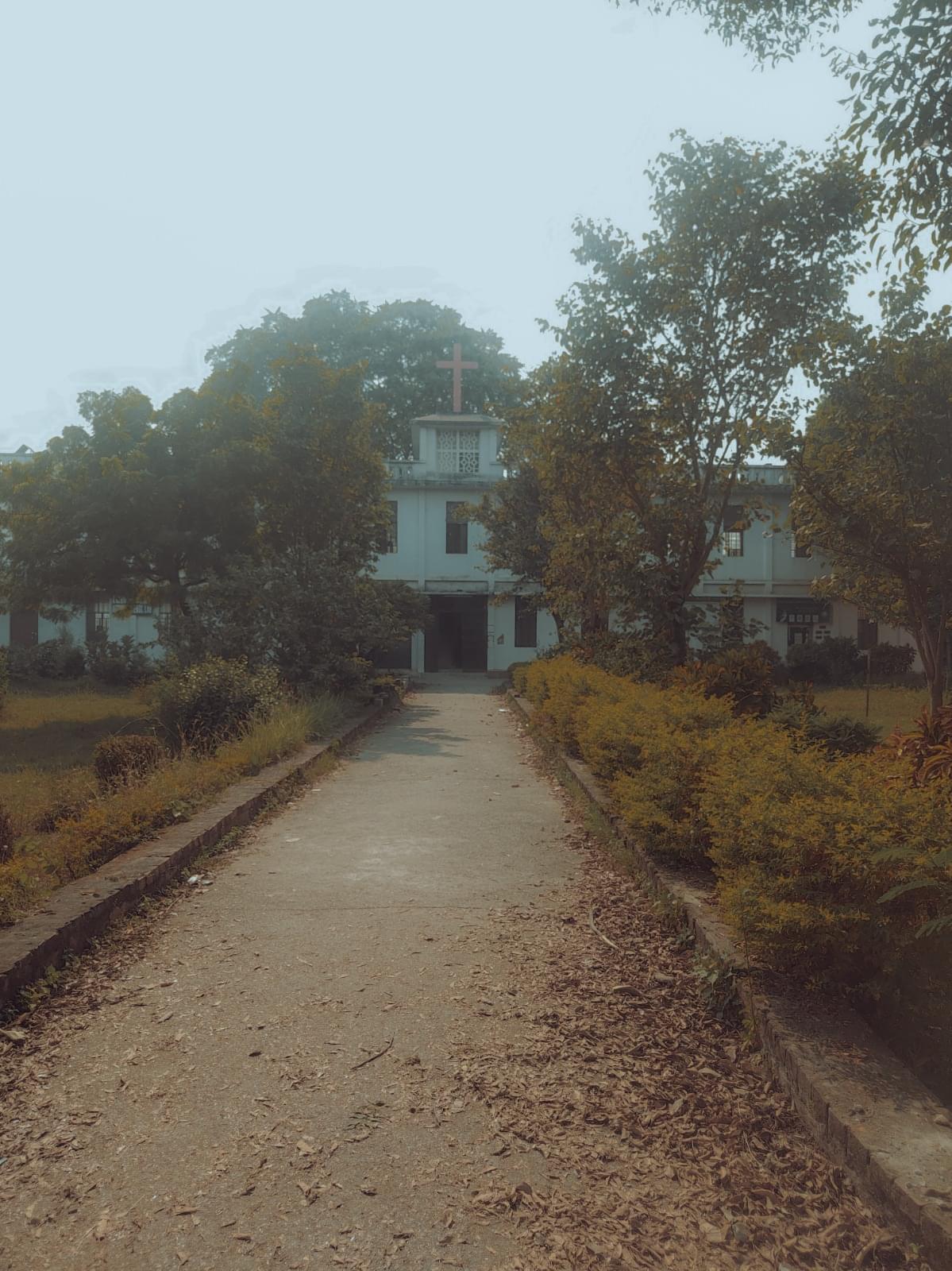 SHUATS Admission 2025: Dates, Fees, Eligibility, Application Process ...