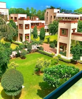 Apeejay Stya University Gurgaon: Fees, Admission 2025, Courses, Cutoff ...