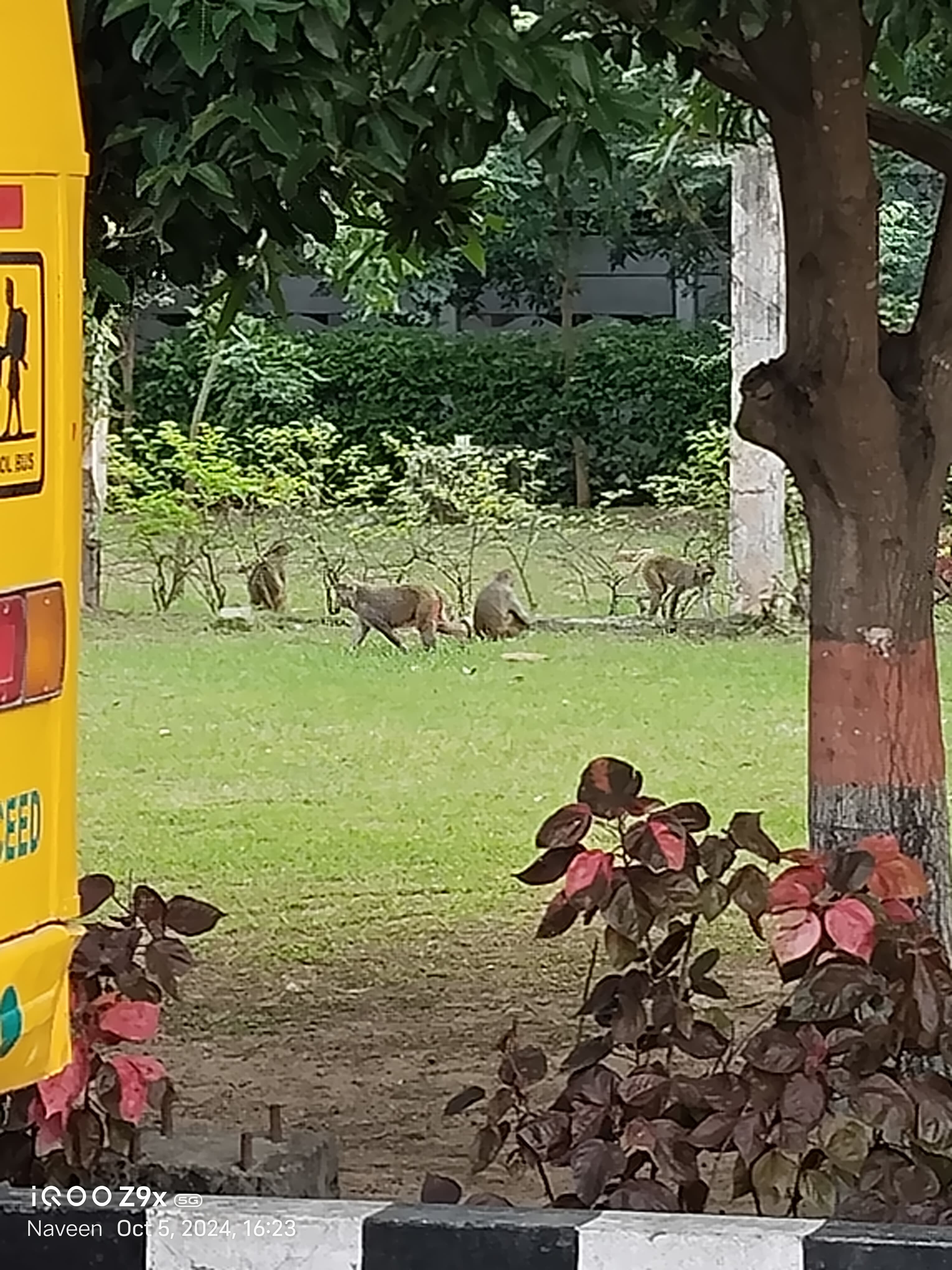 Nimra College of Engineering and Technology Krishna: Fees, Admission ...