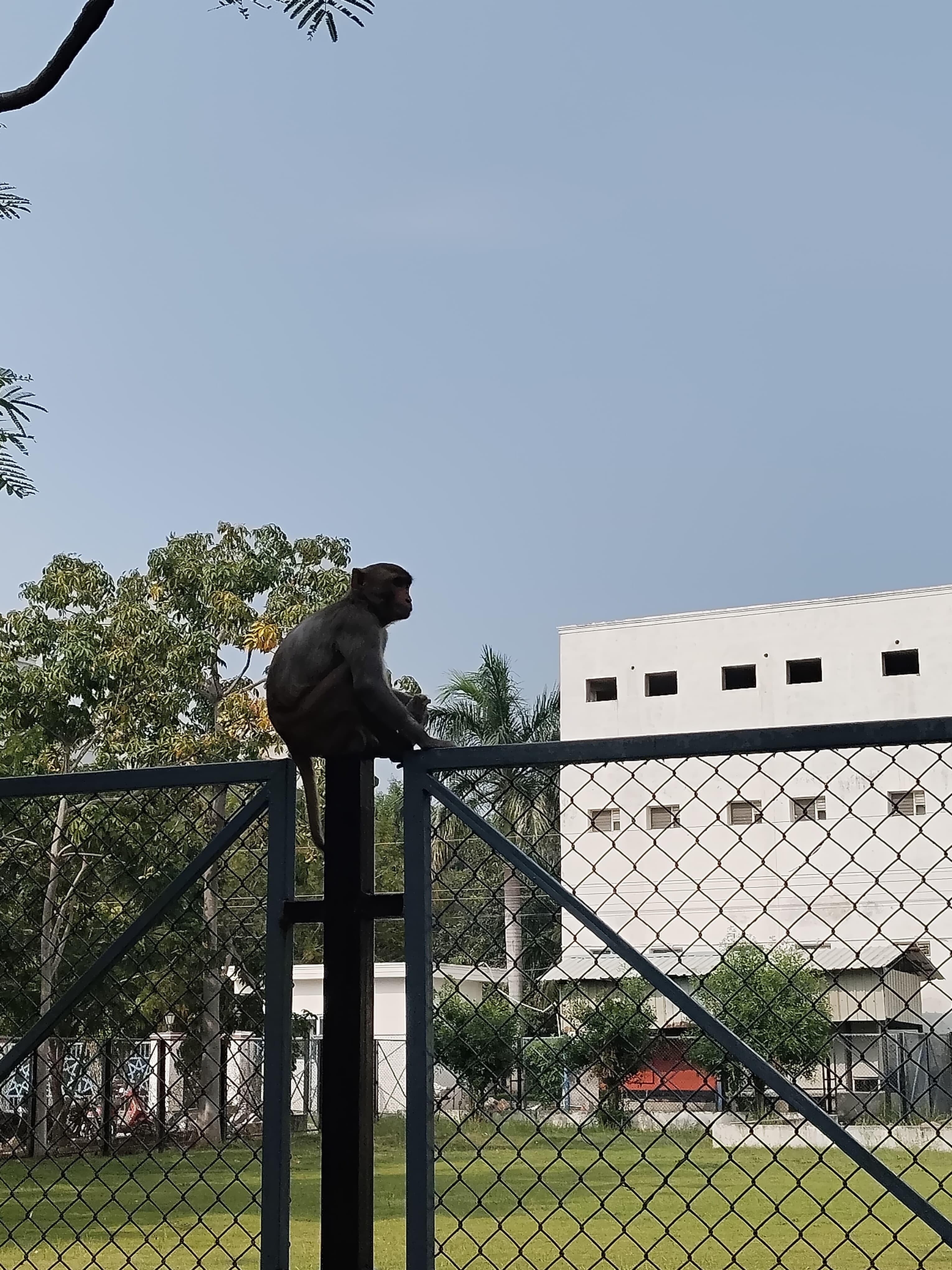 Nimra College of Engineering and Technology Krishna: Fees, Admission ...