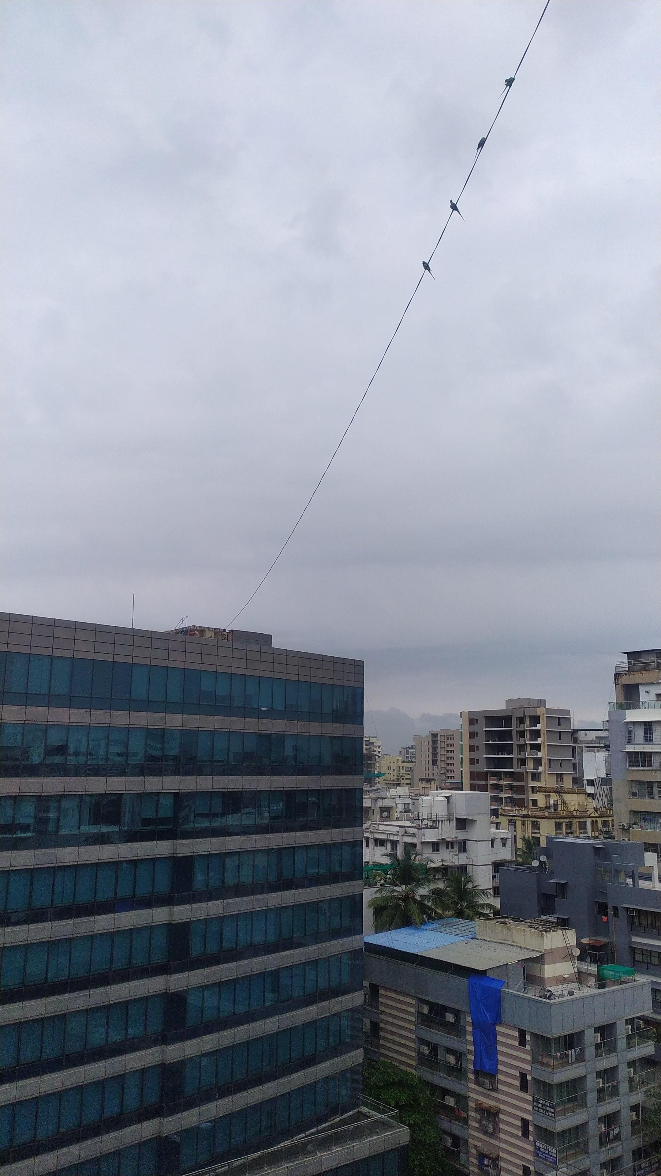 Mithibai College of Arts Gallery