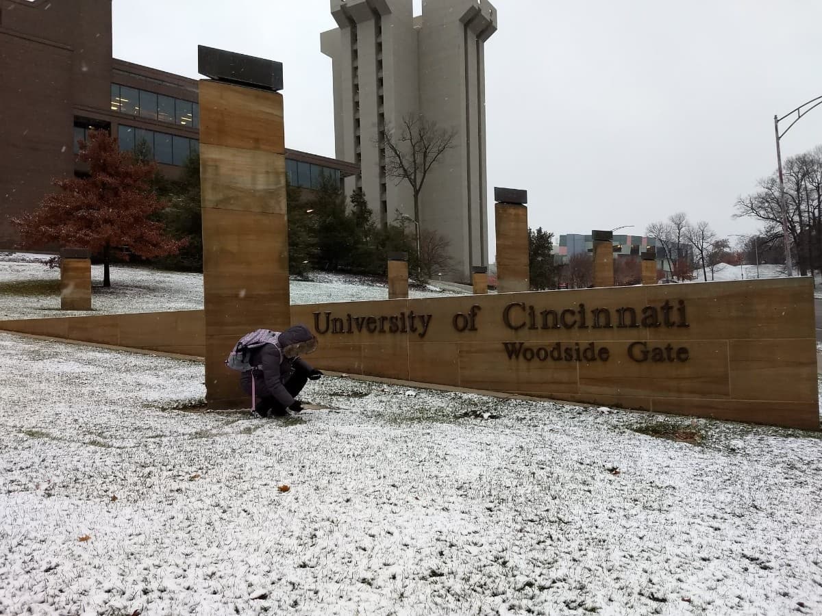 University of Cincinnati (UC): Admissions 2026, Fees, Rankings ...
