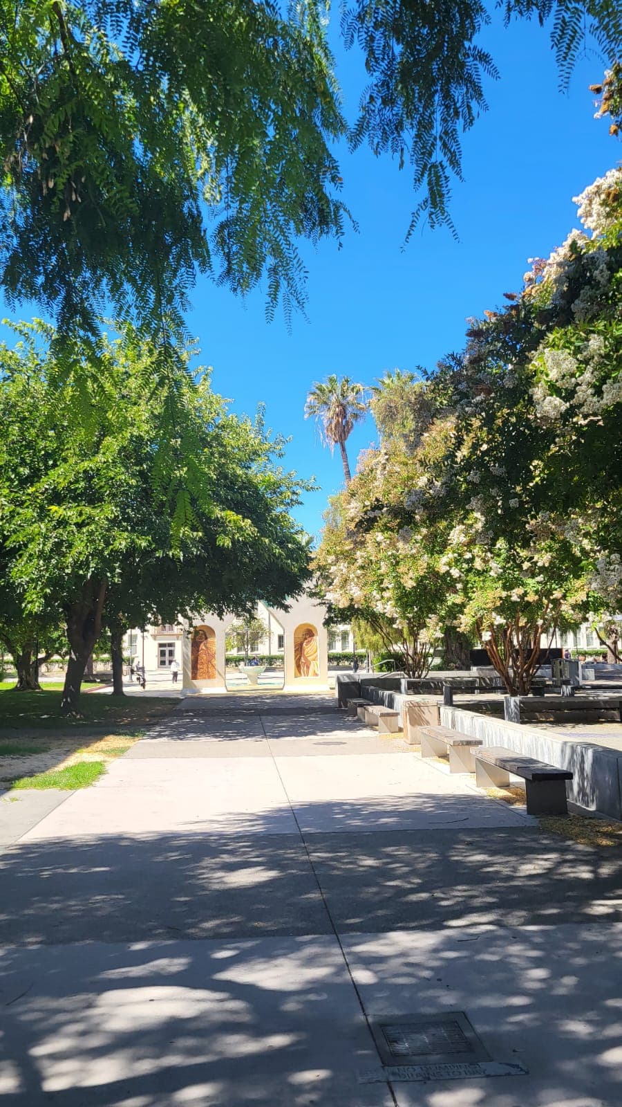 San Jose State University Rankings 2025: National, Global, Subject-wise ...