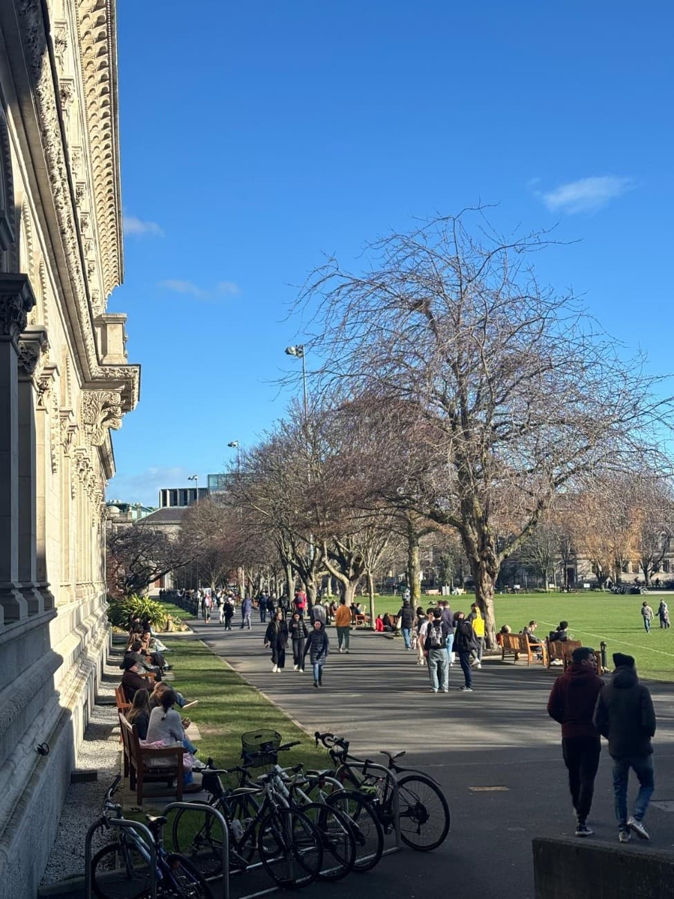 Trinity College Dublin (TCD): Fees 2025, Admissions, Rankings ...