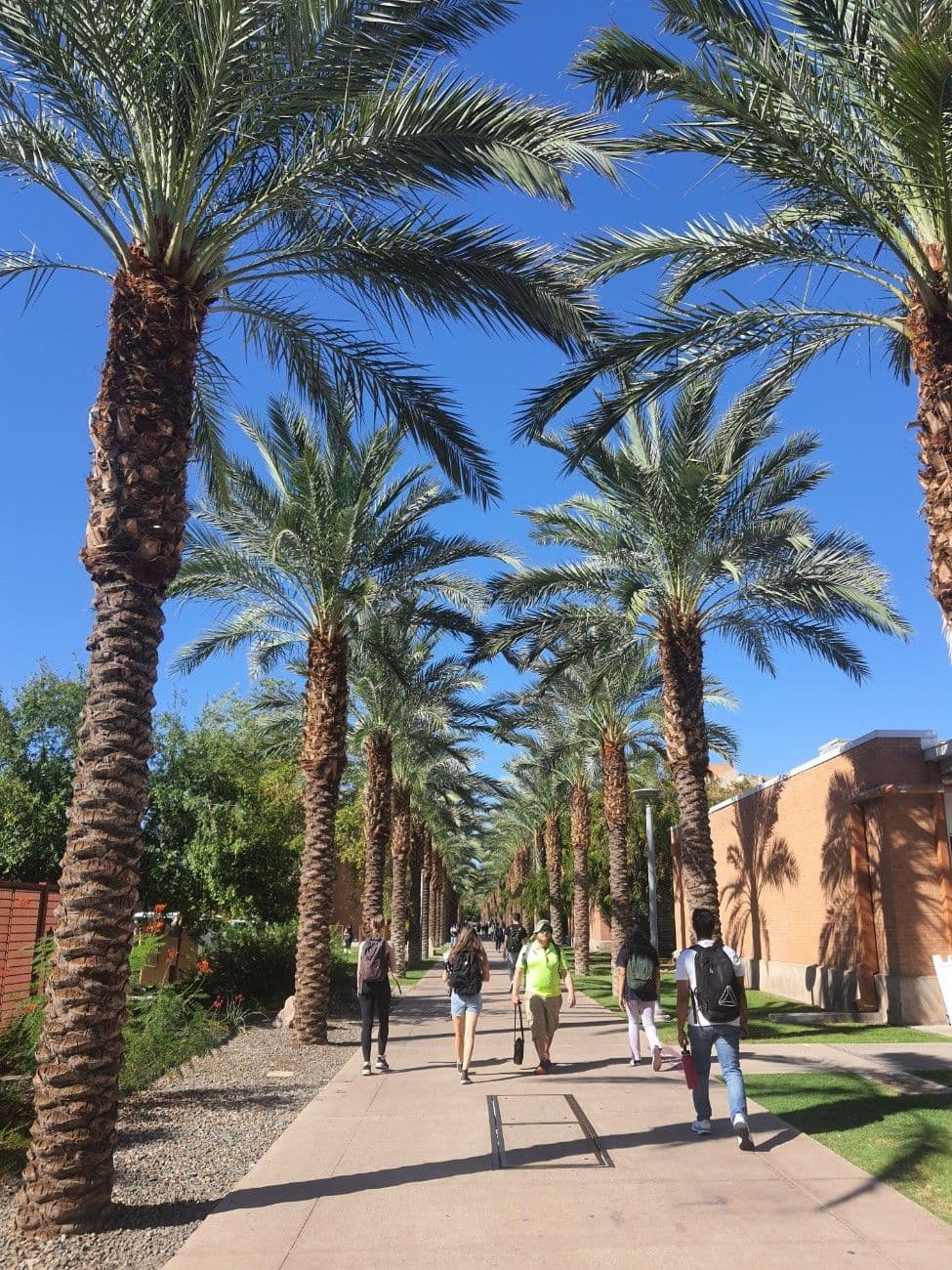 Arizona State University (ASU) Rankings 2025