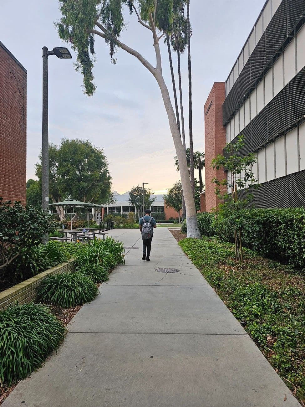 California State University Long Beach (CSULB) 2025 Rankings: Subject ...