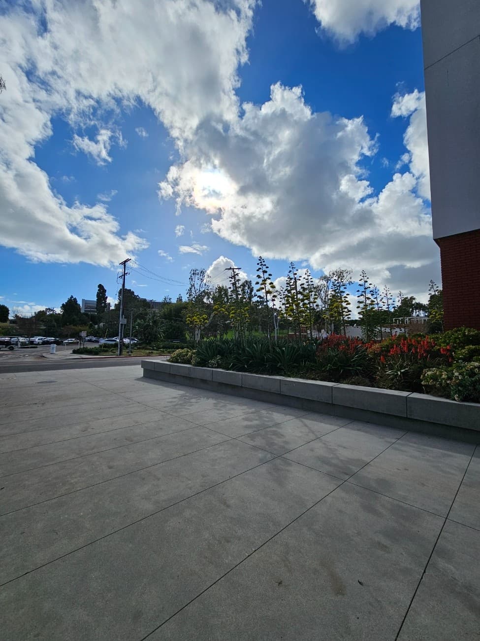 California State University Long Beach (CSULB) 2025 Rankings: Subject ...