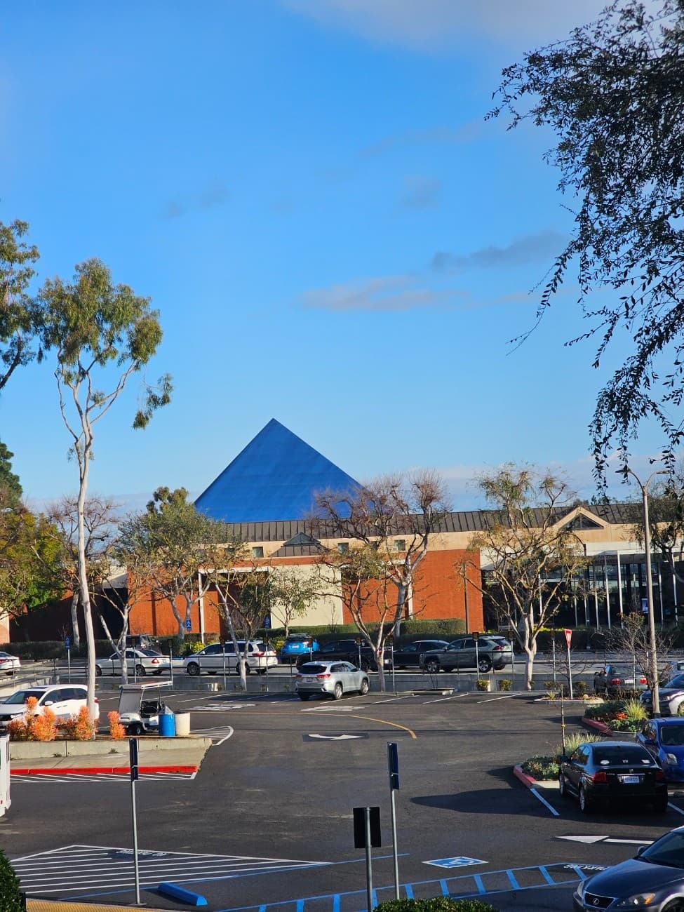 California State University Long Beach (CSULB) 2025 Rankings: Subject ...