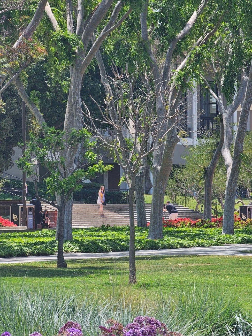 California State University Long Beach (CSULB) 2025 Rankings: Subject ...