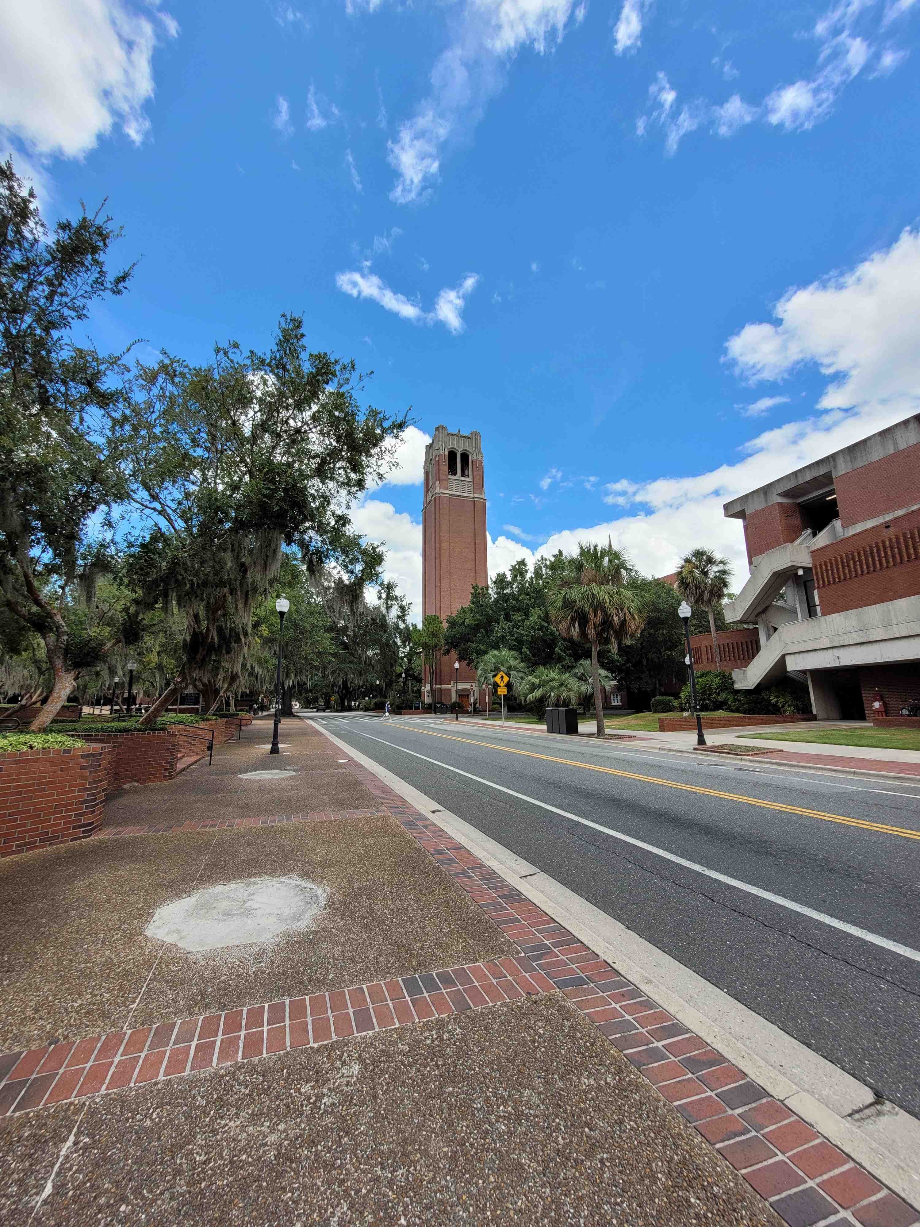University of Florida Admissions 2026: Application Deadline ...