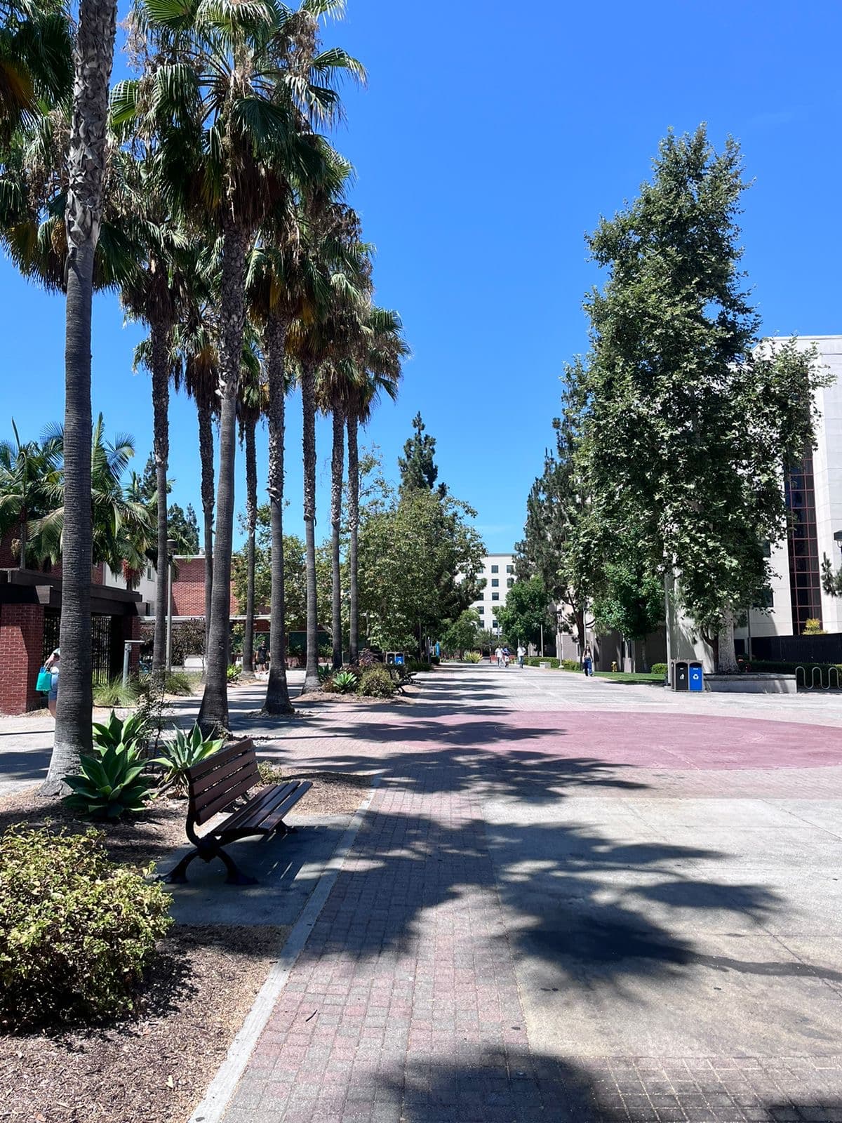 San Diego State University (SDSU) Admissions 2025: Application Deadline ...