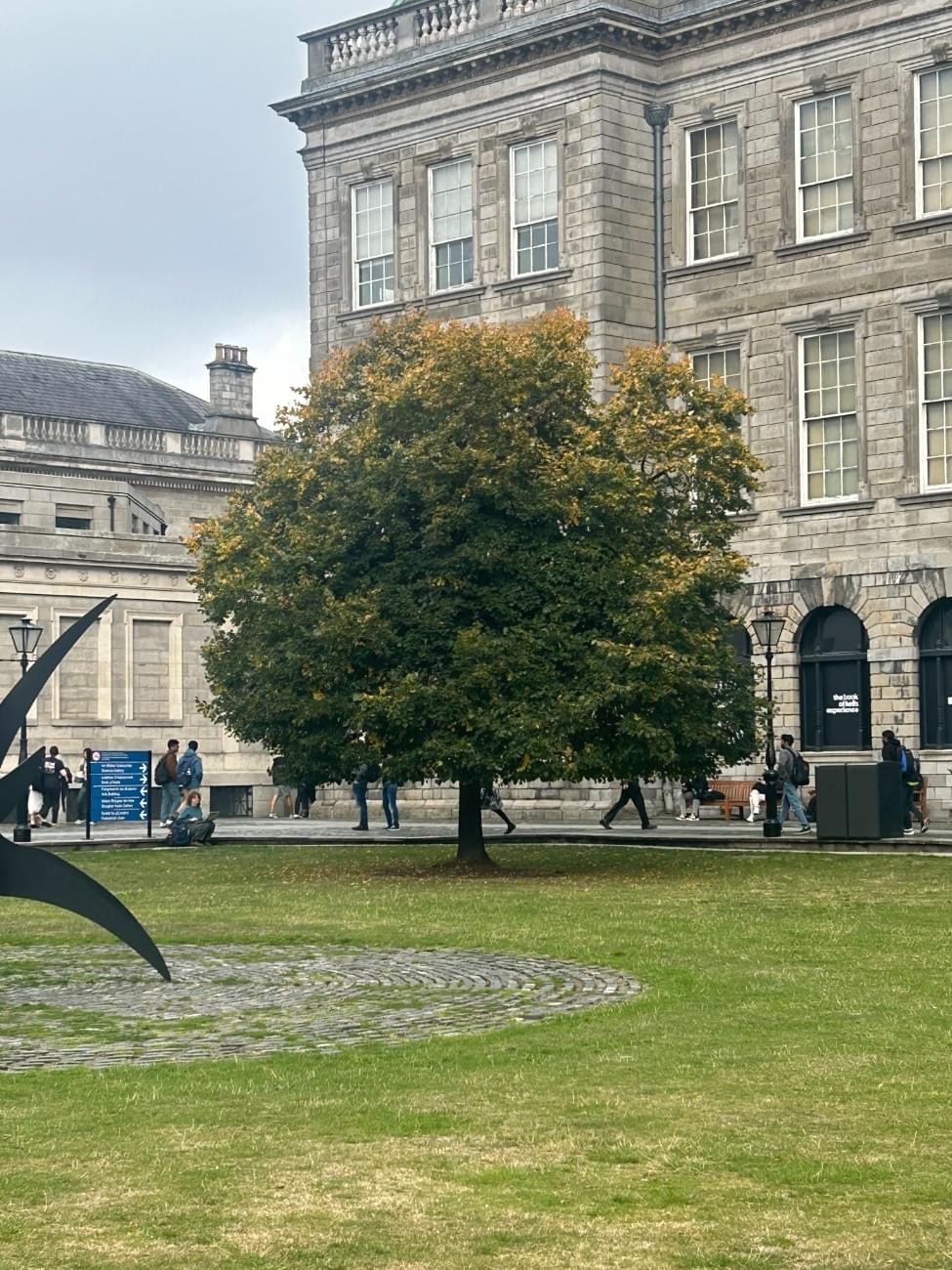 Trinity College Dublin (TCD): Fees 2025, Admissions, Rankings ...